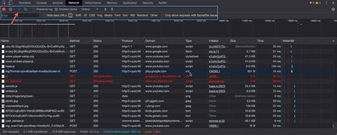 filters in chrome dev tools how to include exclude resources paris