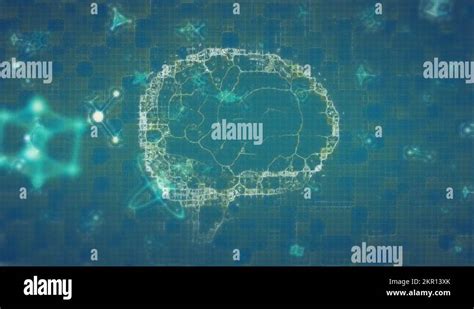 Molecule Brain Stock Videos And Footage Hd And 4k Video Clips Alamy