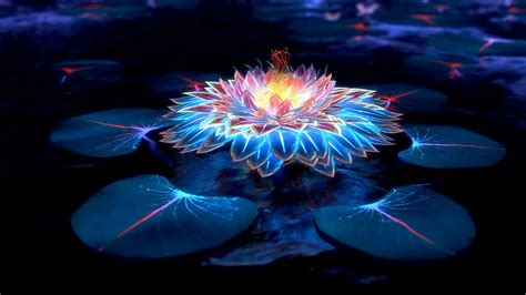 4k Lotus Flower Wallpapers Top Free 4k Lotus Flower Backgrounds