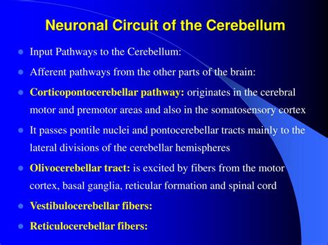 Ppt Cerebellum And Basal Ganglia In Motor Control Powerpoint Presentation Id 4138528
