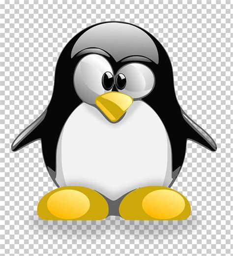 Tux Racer Penguin Linux Distribution PNG Clipart Andatuz Beak Bird Computer Icons