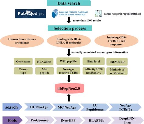 Dbpepneo2 0 A Database For Human Tumor Neoantigen Peptides From Mass Spectrometry And Tcr