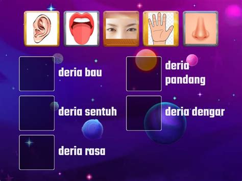 Kata Adjektif Pancaindera Cikgu Hazwani Match Up