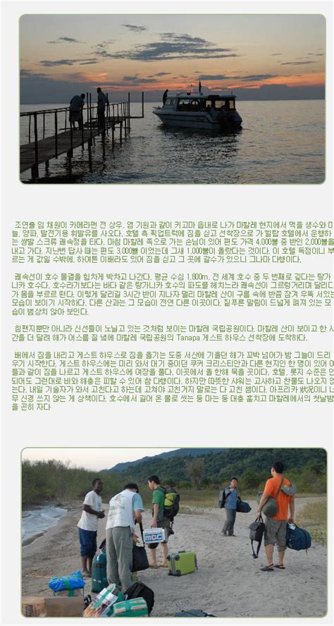마할레에서 첫날밤을 보내다 자연다큐멘터리 탕가니카의 침팬지들 만나면 좋은 친구 MBC