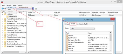 Babe And Class Conversations Certificates