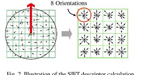 figure 1 from facial feature localization using statistical models and