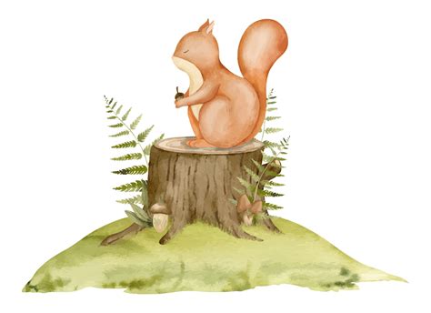 Squirrel In Tree Drawing