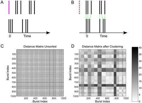 illustration of modified spike metrics and spike train distance