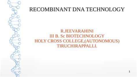 Recombinant Dna Technology Presentations Pptx