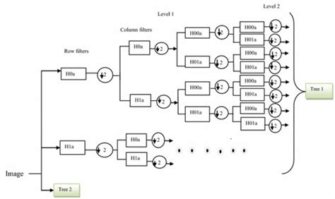 2 D Dual Tree Complex Wavelet Packet Decomposition Download