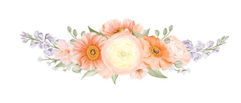 파스텔 색상의 꽃에서 봄 수평 꽃다발 라넌큘러스와 아이슬란드 양귀비 프리지아 복숭아 또는 체리 스노우 버드나무 가지의 꽃 화환 수채화 손으로 그린 식물 그림은 흰색 배경에