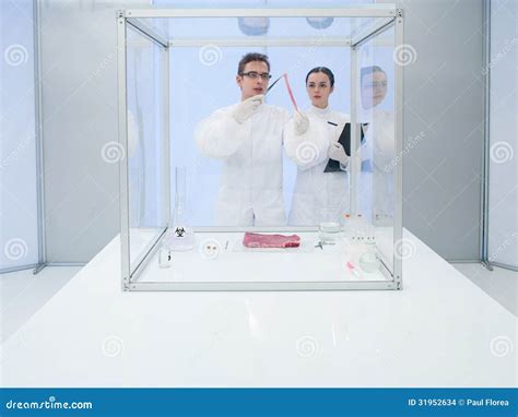 Male And Female Scientists Testing In A Lab Stock Photo Image Of Investigation Danger 31952634