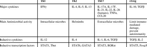 T Helper Subsets And Their Major Functions Download Table