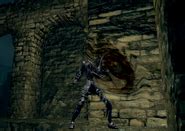 Темная Рука | Dark Souls вики | Fandom