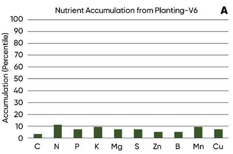 How Corn Plants Regulate Nutrient Uptake Pioneer Seeds