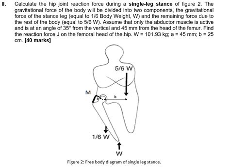 Ii Calculate The Hip Joint Reaction Force During A Single Leg Stance