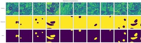 What To Expect With Small Training Datasets For Instance Segmentation