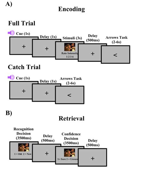 Task Design For Both Encoding And Retrieval A Full And Catch Trial
