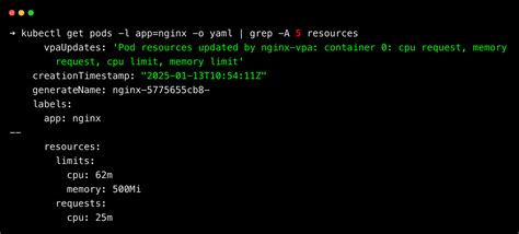 Kubernetes Vertical Pod Autoscaler Vpa Explained