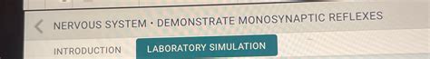 Solved Nervous System ﻿demonstrate Monosynaptic
