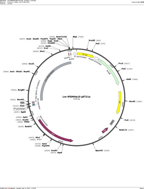 Addgene Pet21a Lm Ipgm