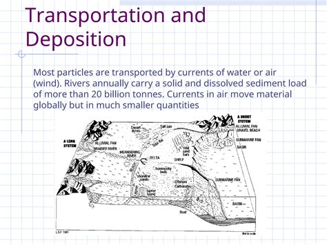 Sedimentary Rocks Classification Of Sedimentary Rocks Ppt