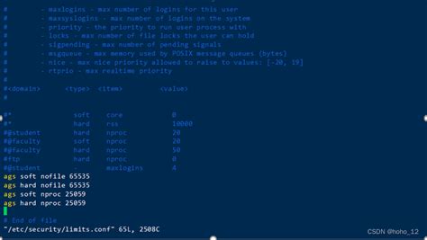 Centos7下安装arcgis Server104arcgis Server安装包下载 Csdn博客