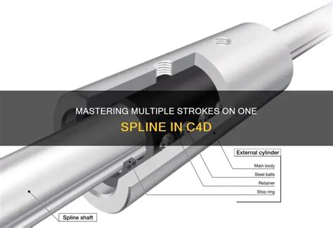 Mastering Multiple Strokes On One Spline In C4d Medshun