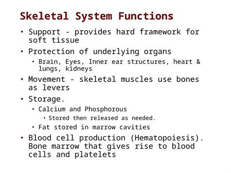 PPTX Skeletal System Functions Support Provides Hard Framework For