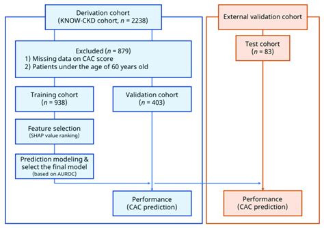Flow Chart Representing The Workflow Of The Machine Learning Analysis Download Scientific