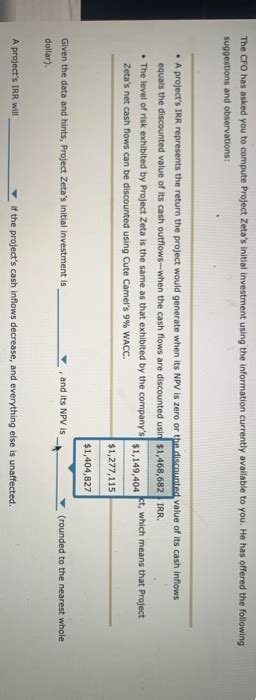 Solved Understanding The IRR And NPV The Net Present Chegg