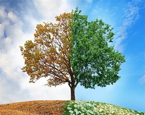 Employers How To Grow Your Own System Administrator How To Become A System Administrator