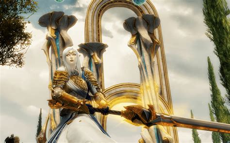 Paladin Of The Unseen Rguildwarsdyejob