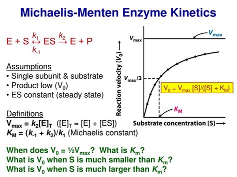 Ppt Biochemical Reaction Rate Enzyme Kinetics Powerpoint Presentation Id 2697427