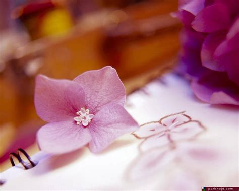 Classical Party Music