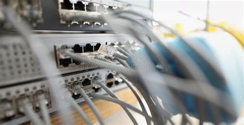 Server Switch Panel Patch Cord Connection Close Up Stock Image