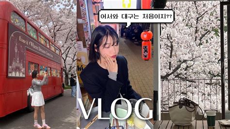 대구 브이로그 벚꽃여행을 가장한 먹방여행🍺😋 택시 기사님 추천 찐 로컬 맛집복불고기 오드레기 뭉티기교동핫플 또간집 막창 동성로 소품샵 Youtube