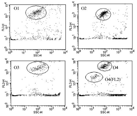 Flow Cytometry Dot Plots Of Cell Size Vs Chlorophyll A Signals Of