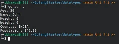 Get Started With Golang