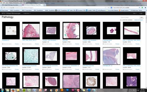 whole slide imaging repository