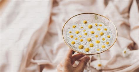 부드러운 베이지색 천을 배경으로 물에 데이지 꽃이 있는 세련된 와인잔을 들고 있는 보석을 들고 있습니다 부드러운 꽃 미학 창조적 인 여름 이미지입니다 보헤미안 분위기