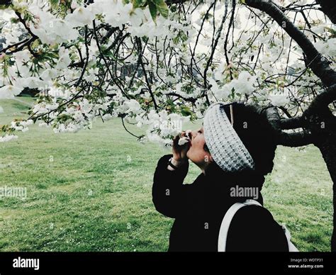 Adult Smelling Tree Branch Hi Res Stock Photography And Images Alamy