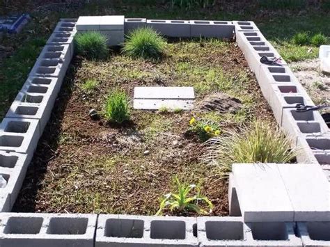 Cinder Block Tortoise Fence Tortoise Care Outdoor