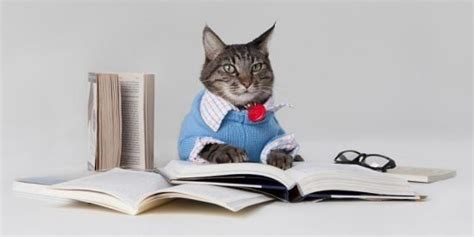 8 звичок які на думку психологів свідчать про низький рівень інтелекту людини Читайте на Ukr Net