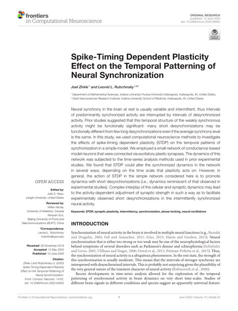 Pdf Spike Timing Dependent Plasticity Effect On The Temporal