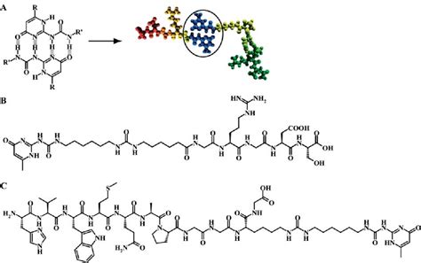 Figure 1 From Convenient Solid Phase Synthesis Of Ureido Pyrimidinone