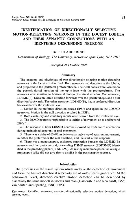 Pdf Identification Of Directionally Selective Motion Detecting