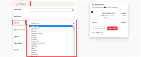 Remove All The Countries And Add Only One Country In The Dropdown Located In Forms On The
