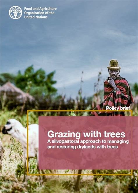 Caroline Vincke On Linkedin Sustainability Management Forests Trees Dryforest Environment…