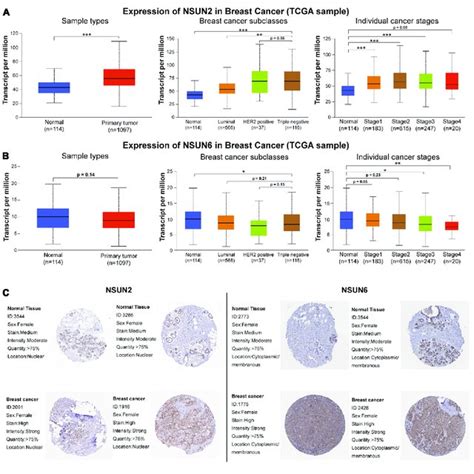 Correlation Between The Differential Expression Of The Two Prognostic